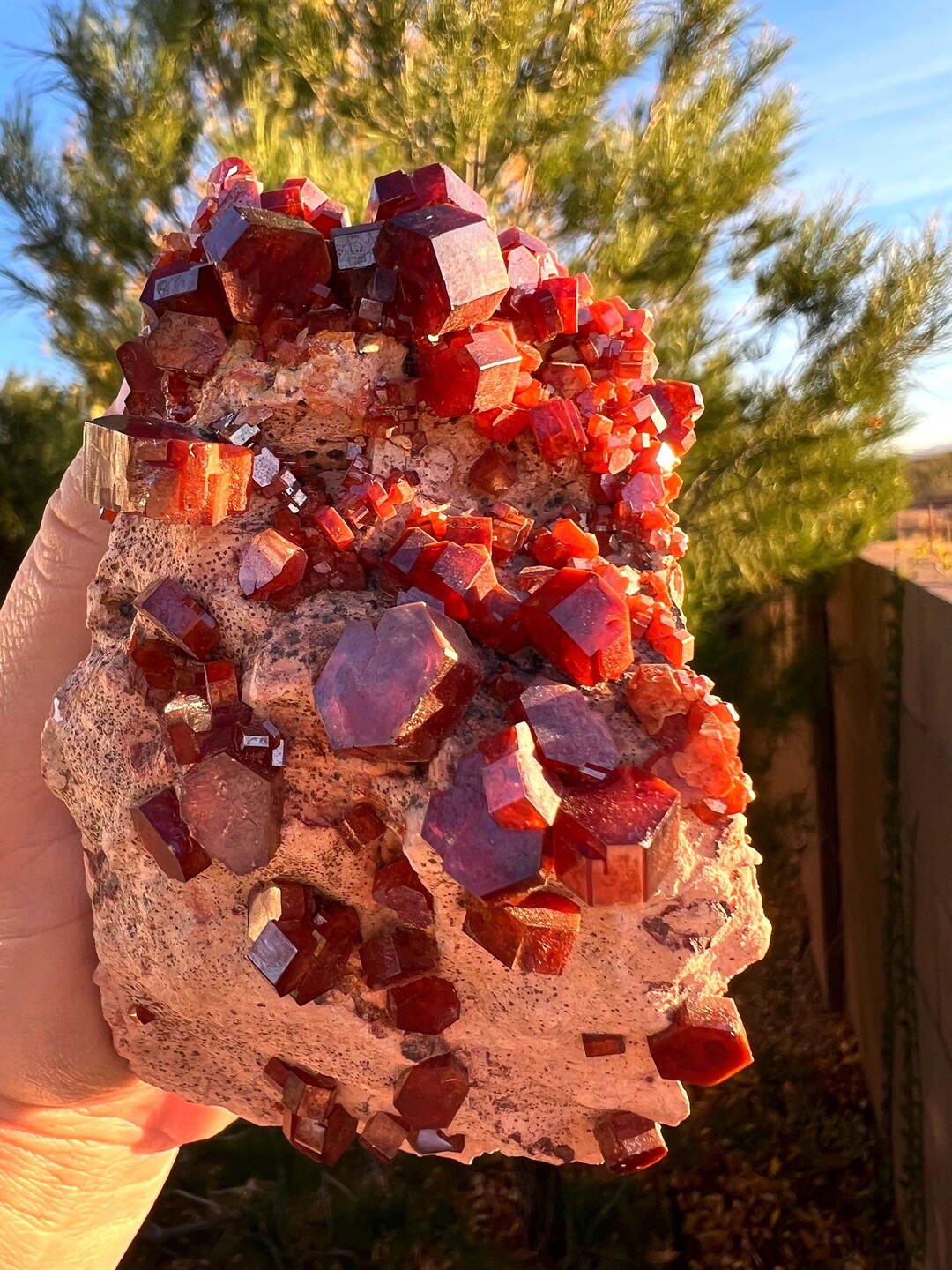 Rich Red Vanadinite Large Specimen Thick Red Vanadinite Hexagonal ...