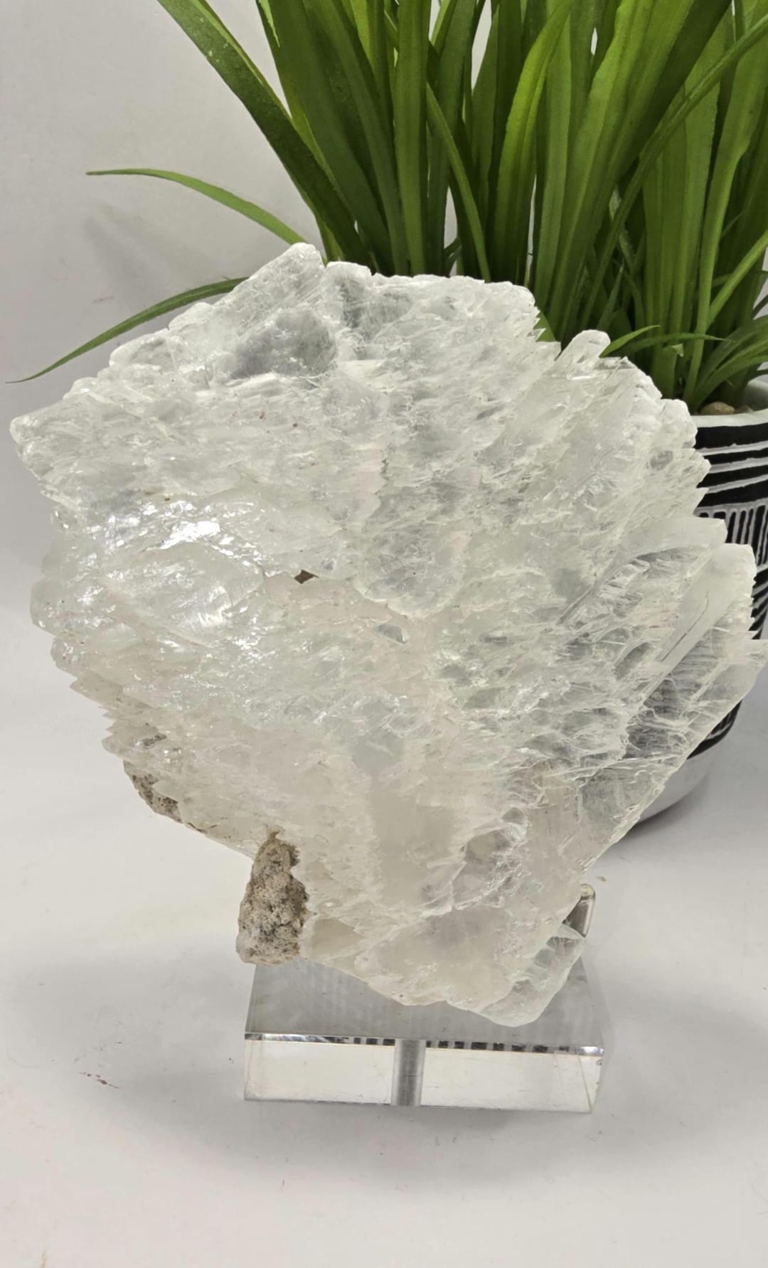 Fish Tail Selenite Angel Wing Selenite UV Glows Light Neon Green Highly ...