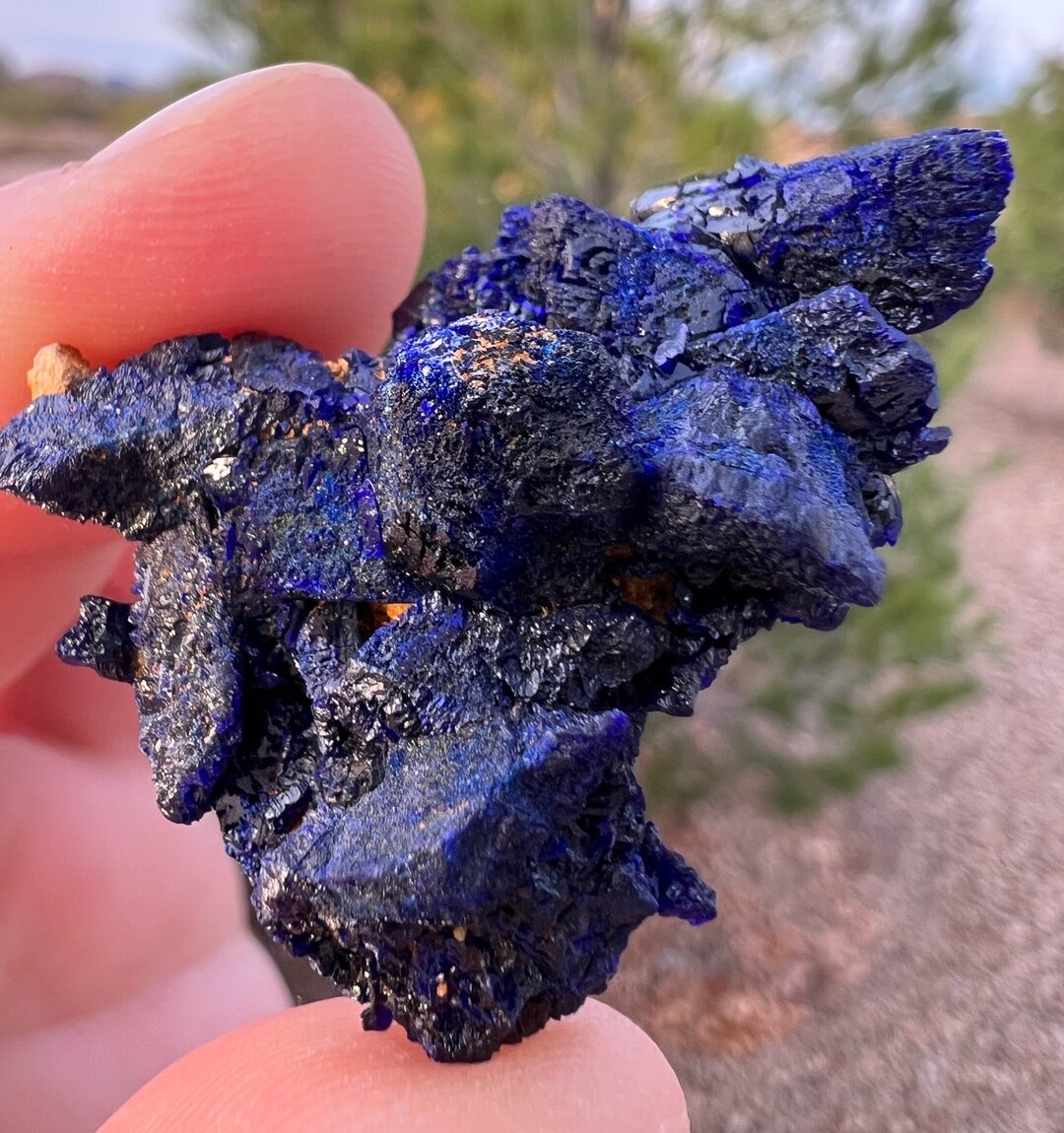 Azurite | Natura Mineral Specimen | Gorgeous Deep Blue Crystals ...