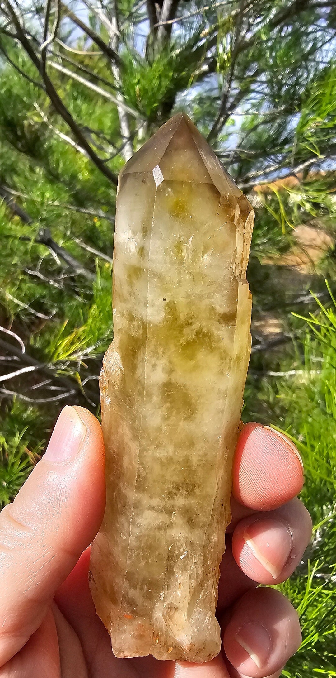 Kundalini Citrine Singular Point Wand/tower Completely Natural Phantoms ...