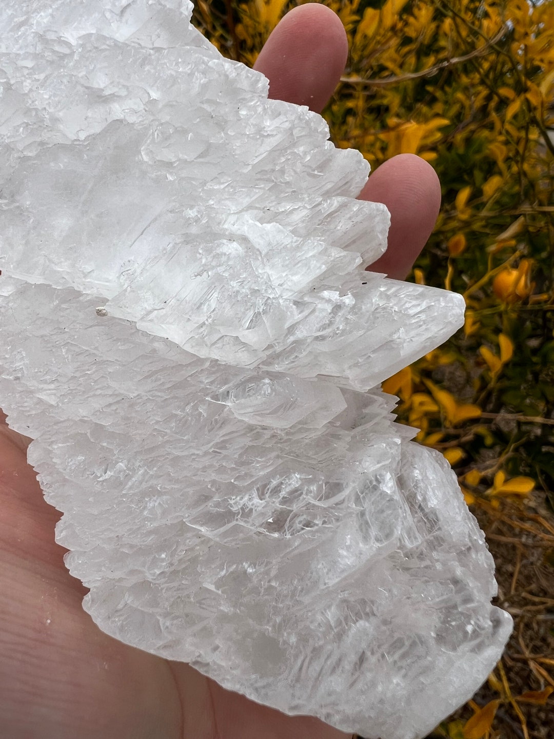 Fishtail Selenite Gypsum Angel Wing Selenite Rare Selenite Formation ...