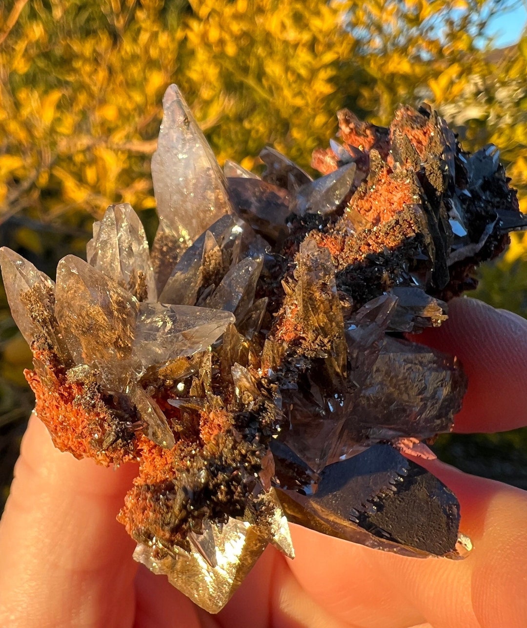 Twin Calcite on Matrix Phantom Inclusions Beautiful Spiky Twin V Shaped ...