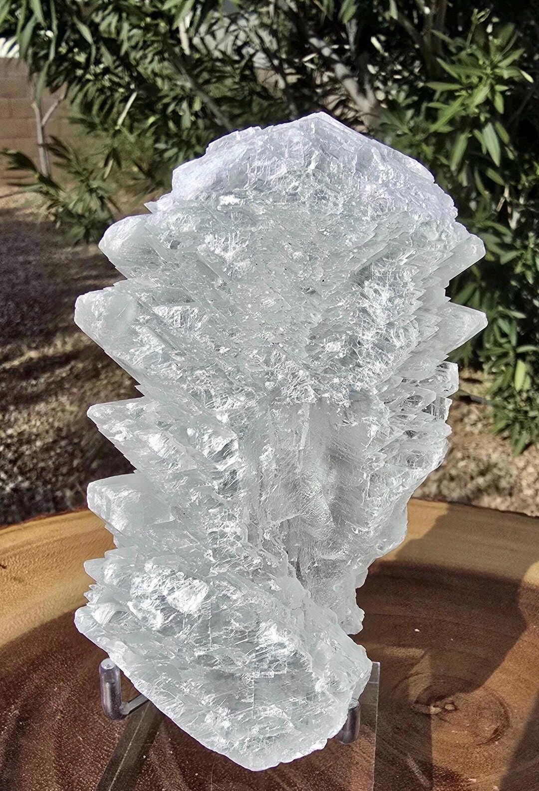 Fish Tail Selenite | Angel Wing Selenite | Light Neon Green ...