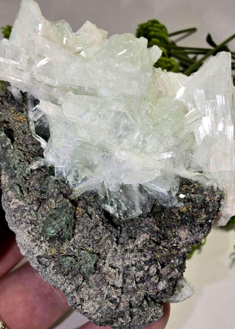Extremly Rare-green Tabular Garden Apophyllites, Green Apophyllite ...