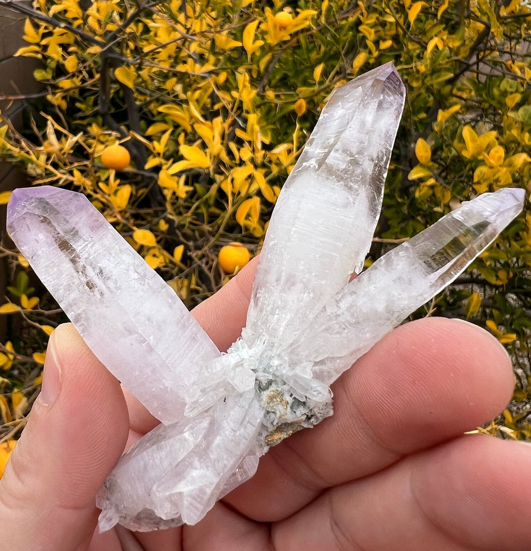 Large 4 Vera Cruz Amethyst Amethyst Var. Quartz highly Vibrational ...