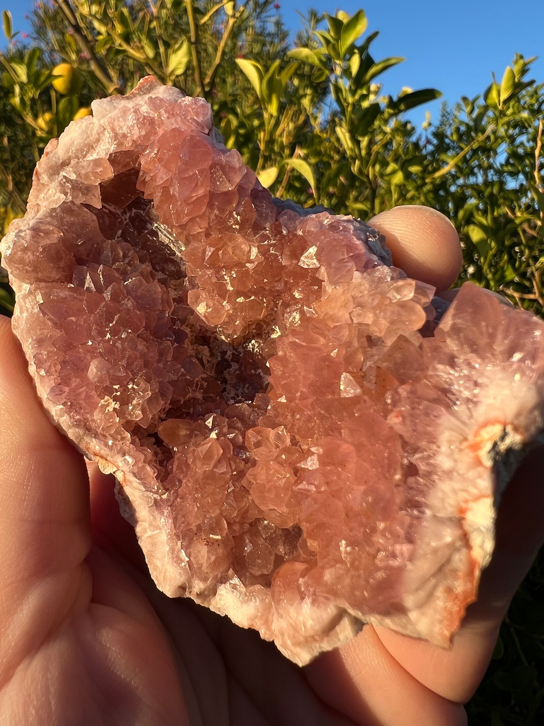 Pink Amethyst Geode Cluster Kalfino Large Amethyst Geode Rare Rosé ...
