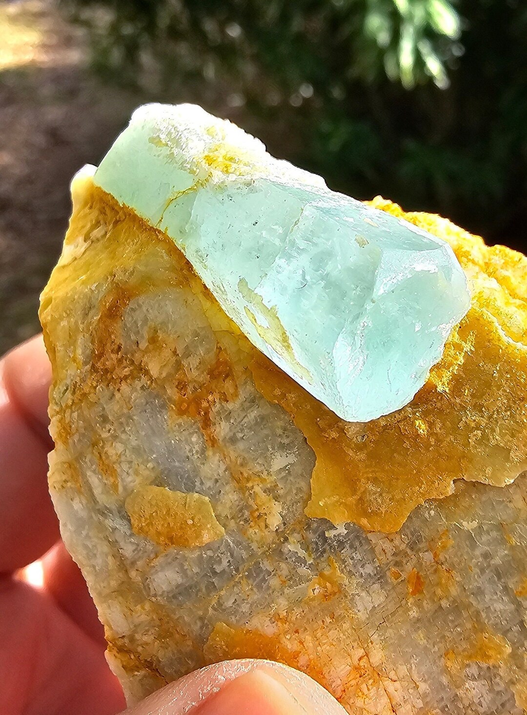Aquamarine Beryl Partially Imbedded in Golden Feldspar Gemy Aqua-blue ...