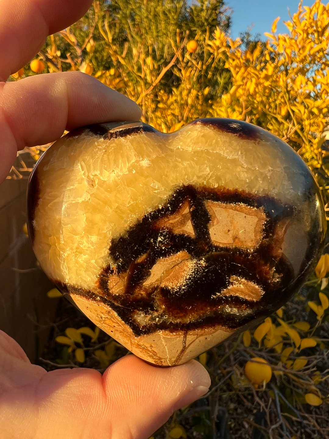 Dragon Egg Heart Septarian Nodule Stone Yellow Druzy Calcite Crystals ...
