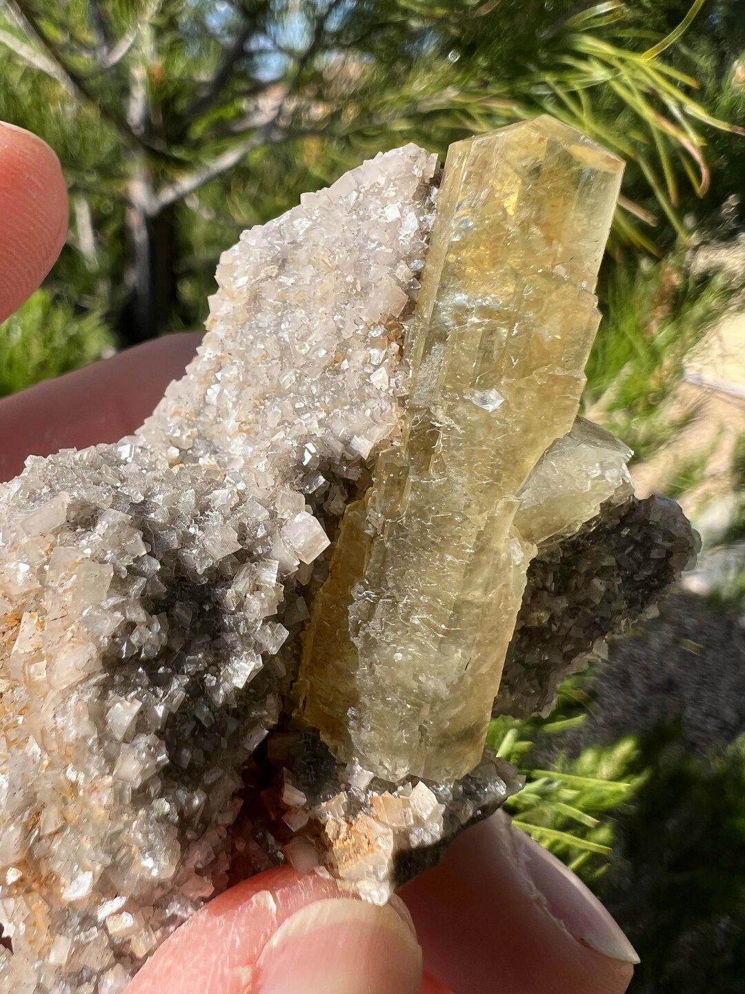 Rare Yellow Nailhead Calcite on Drusy & Dolomite Matrix From: Fletcher ...