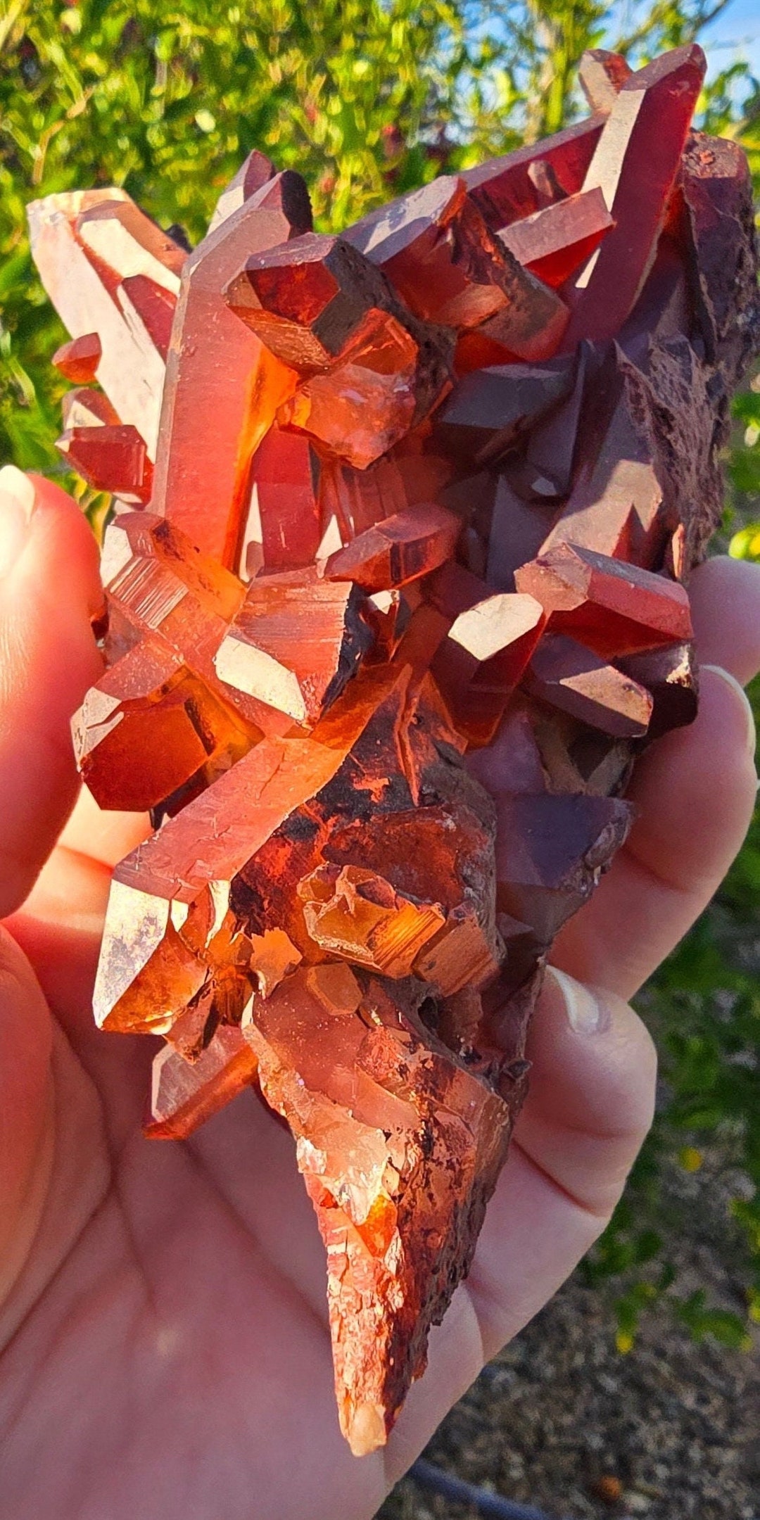 Red Hematite Quartz Cluster Terminated Points Natural Mineral Specimen ...