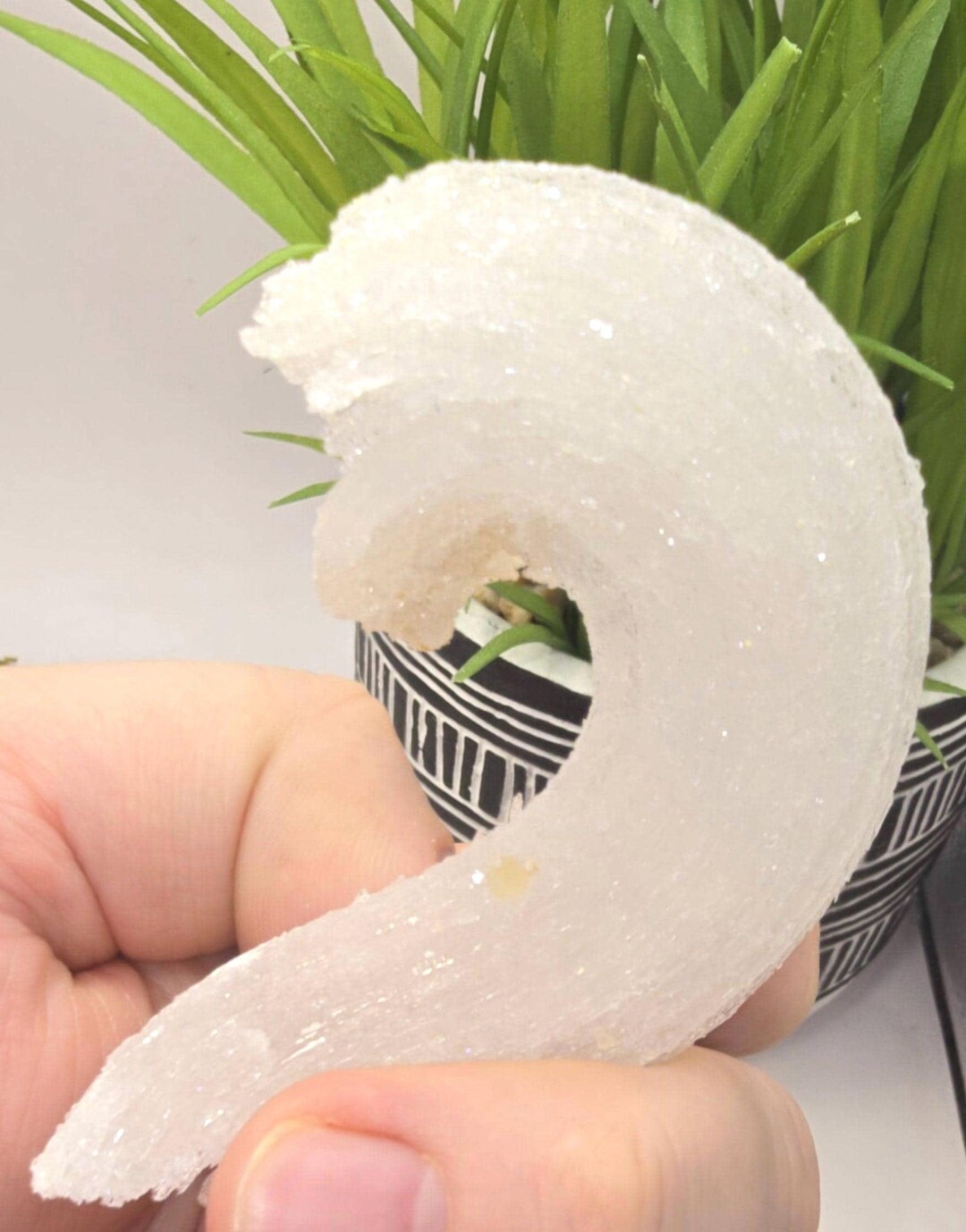 Ram Horn Selenite Curled Selenite Gypsum Var. Selenite rare Sparkling ...