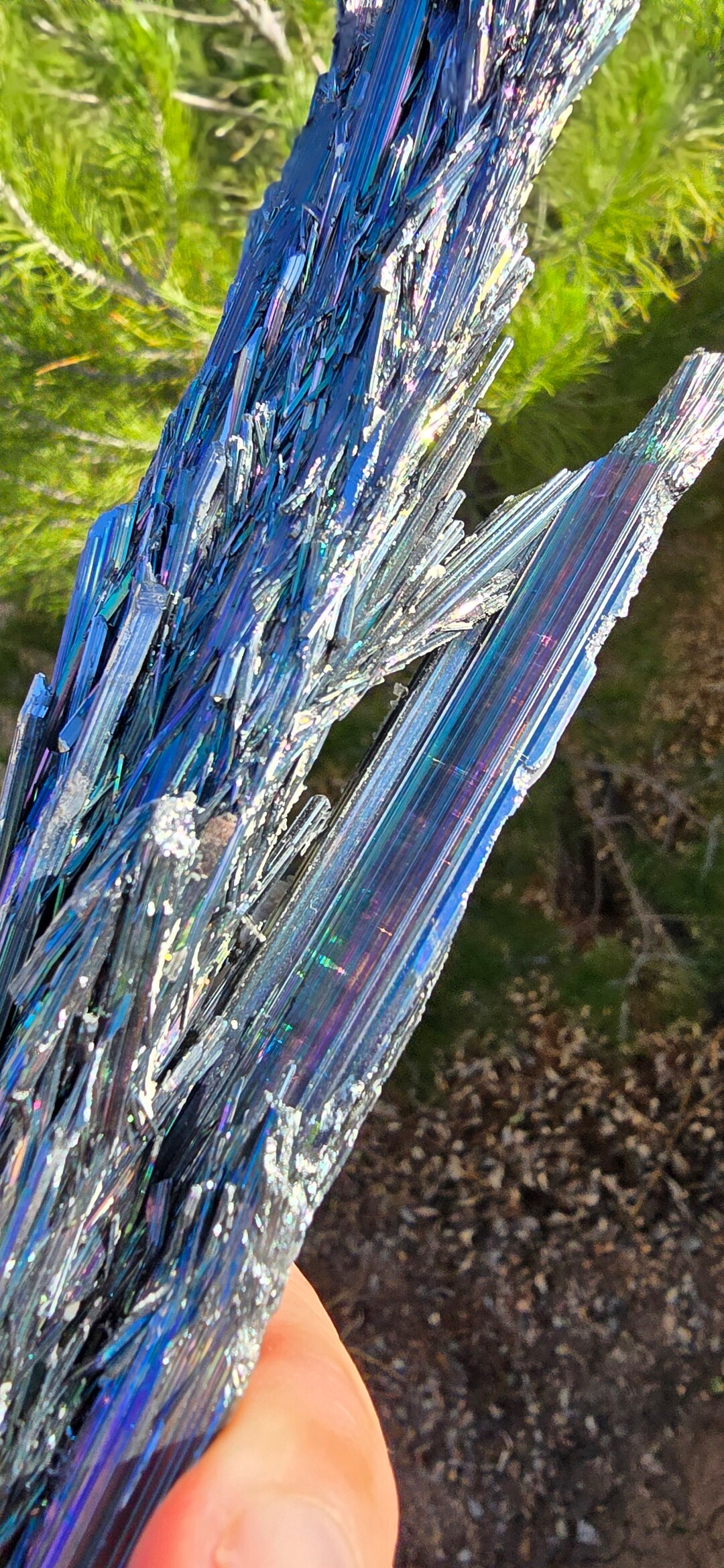 Rainbow Iridescent Stibnite Wand Extremely Rare Vibrant Metallic ...