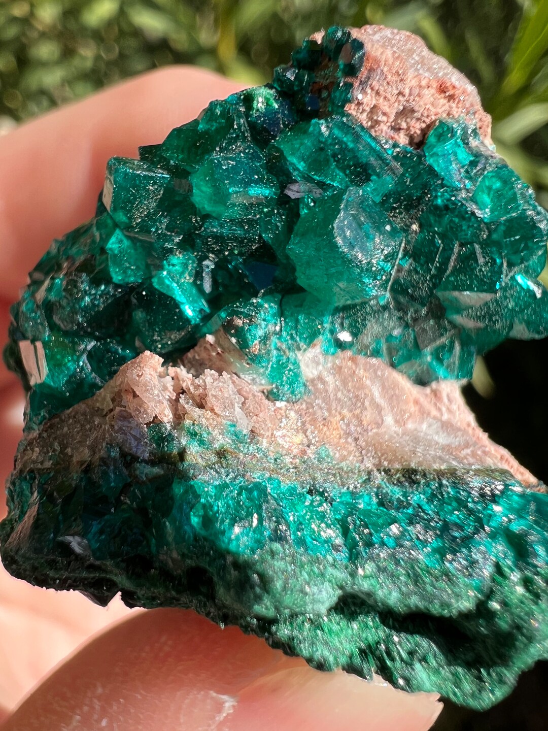 Dioptase Brilliant Sea Green-blue Crystals With Malachite and - Etsy