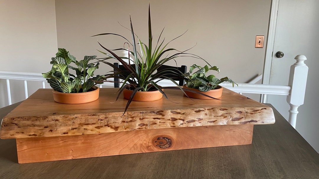 Live Edge Wood Planter / Indoor Planter / Centerpiece / Custom Home ...