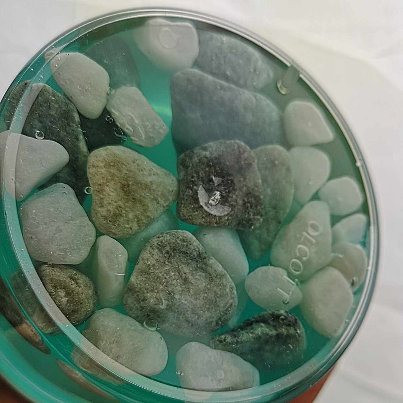 Cherry Blossom Duck Pond Clear Slime - Etsy