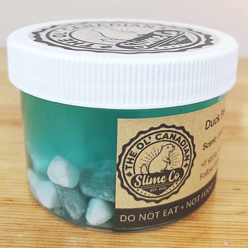 Cherry Blossom Duck Pond Clear Slime - Etsy