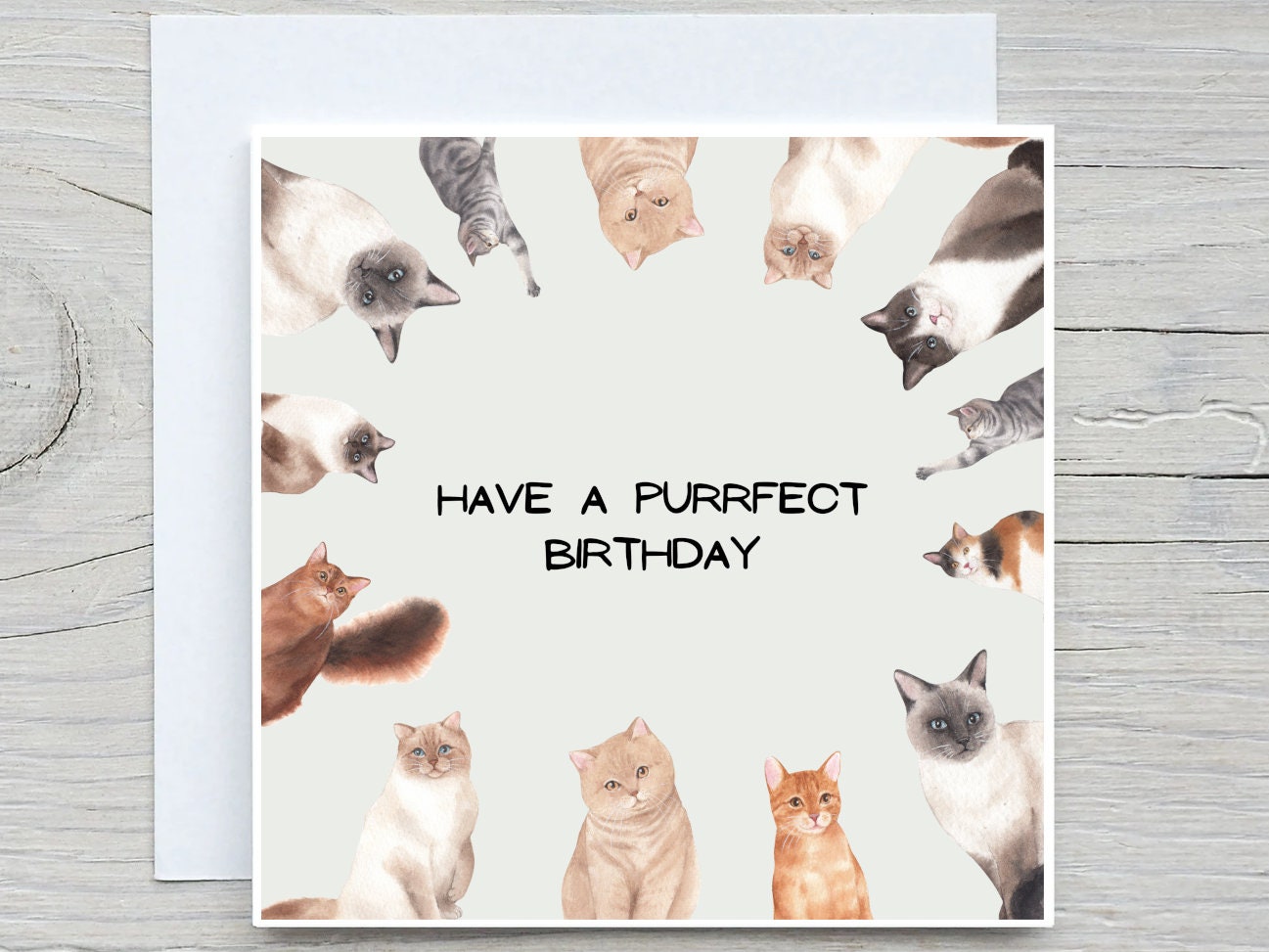 Lolcat Birthday Banner