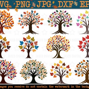 Fall Trees SVG, Fall SVG Bundle, Autumn Svg, Thanksgiving Svg, Fall Svg ...