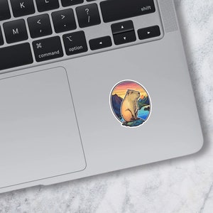 Capybara Sticker Water Bottles Decal Capybara Gift Sticker Car Window ...