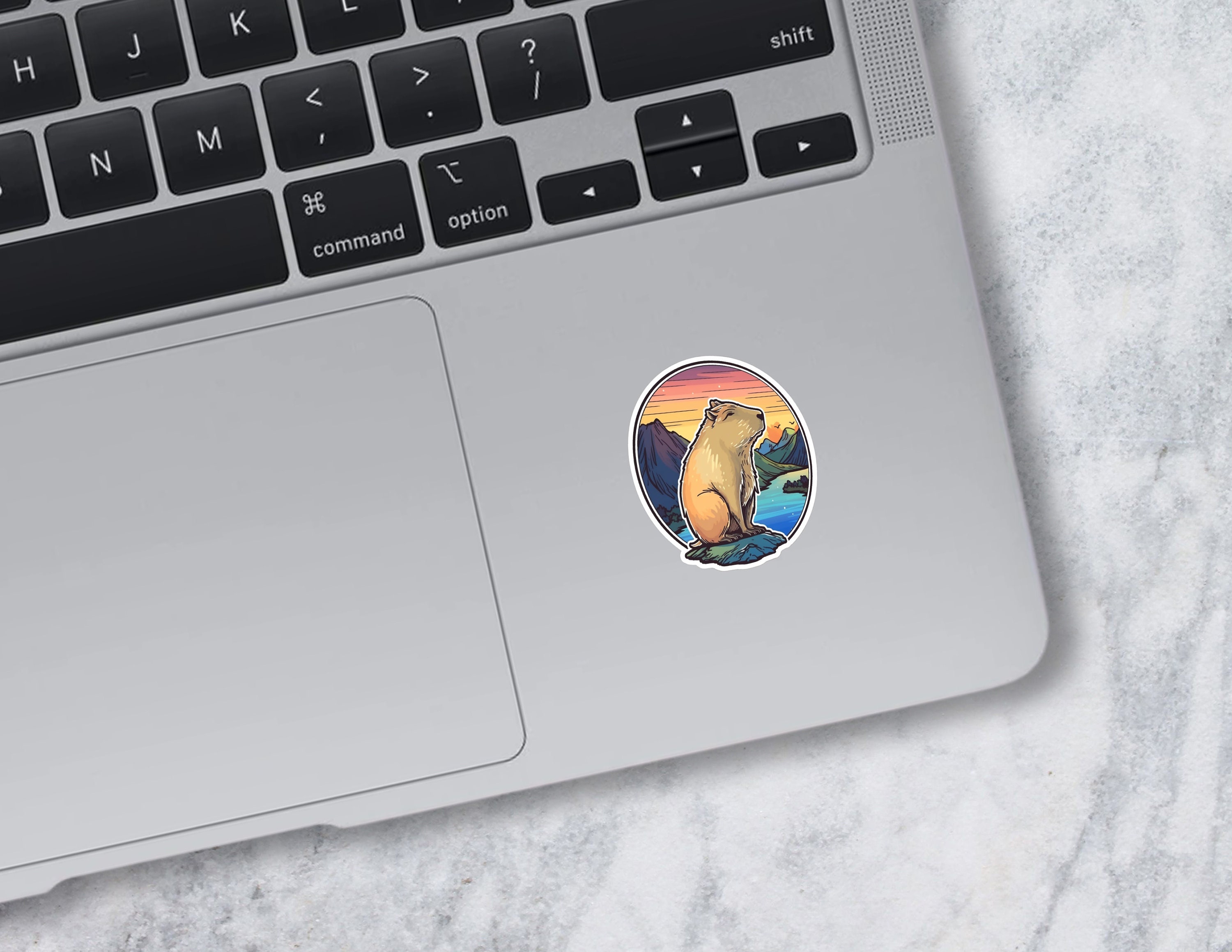Capybara Sticker Water Bottles Decal Capybara Gift Sticker Car Window ...