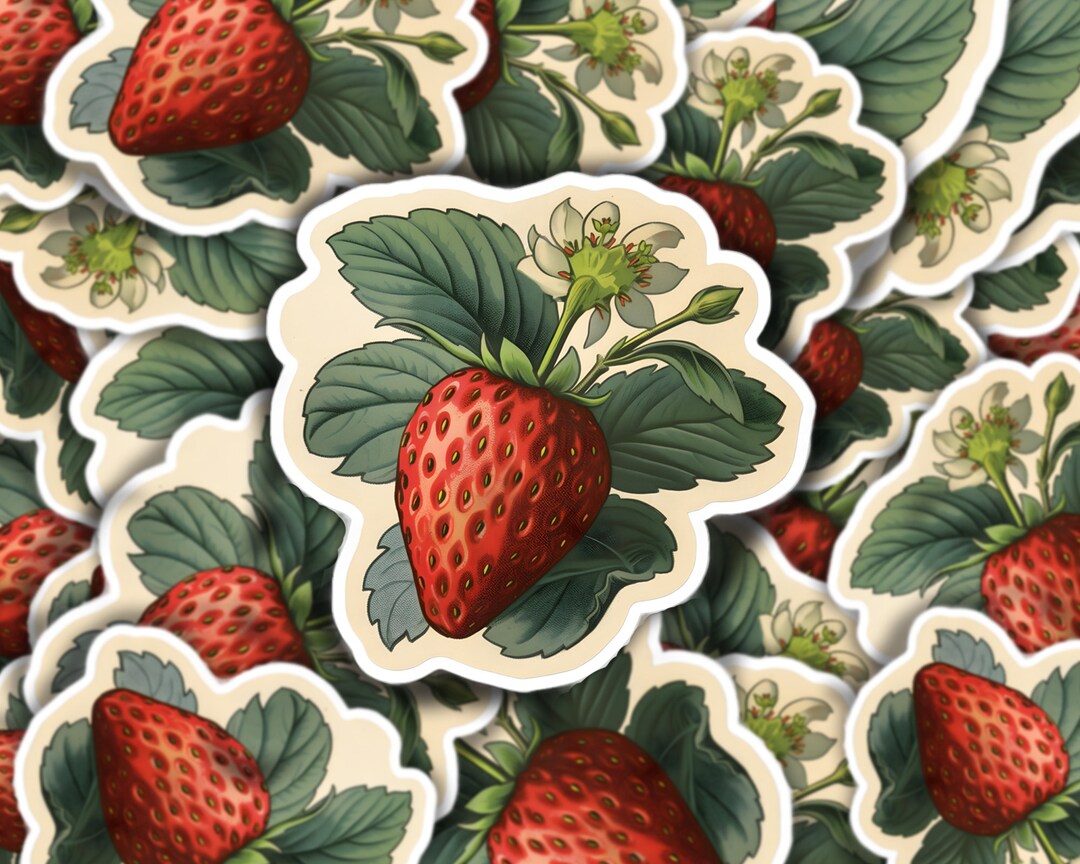 Strawberry Vinyl Decal for Strawberry Lover Decal Laptop Sticker Water ...