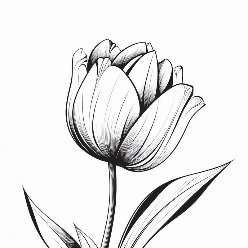 Flower Drawing - Etsy