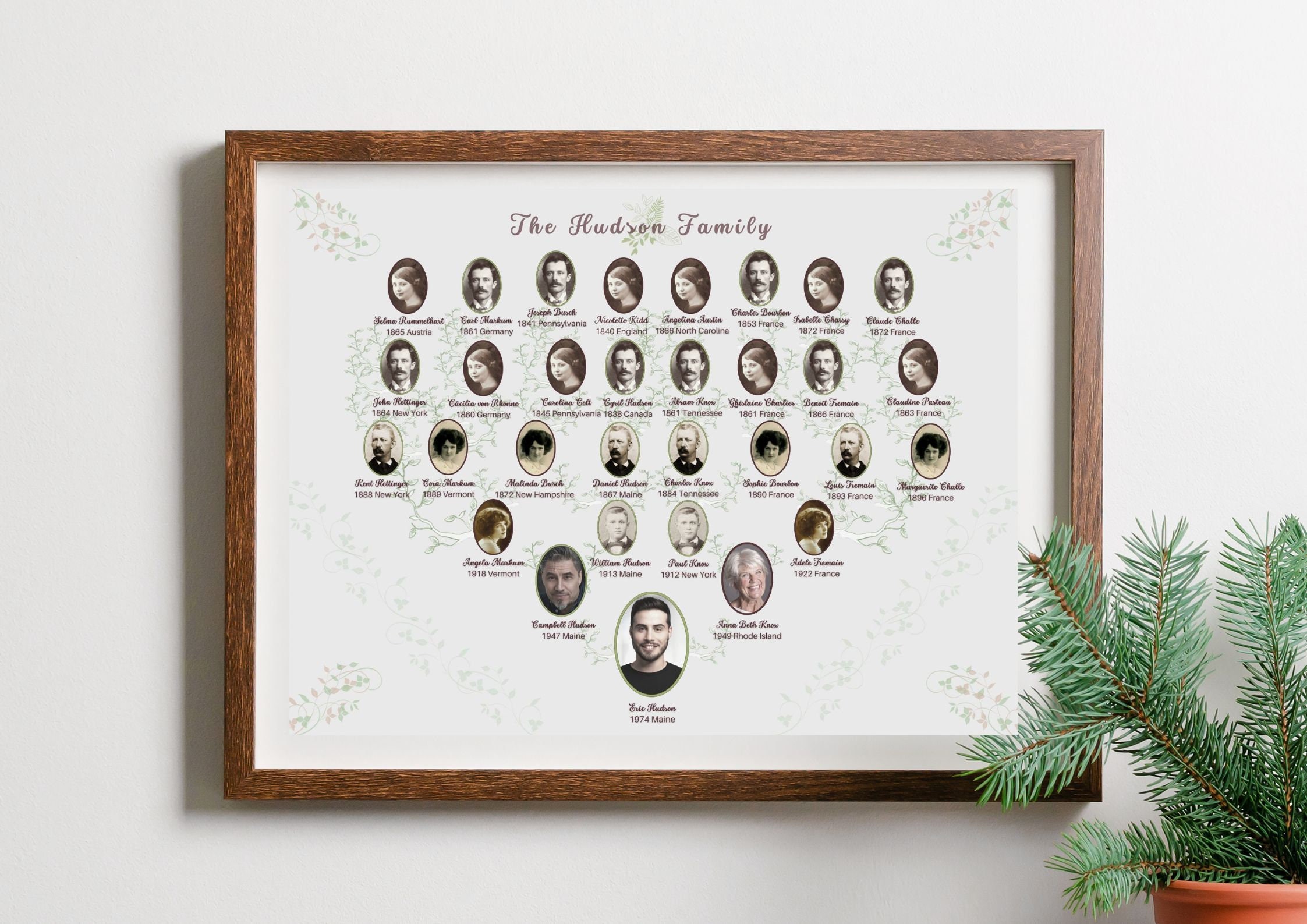 Gráfico de fotos de árbol genealógico de bricolaje, 4 generaciones ...