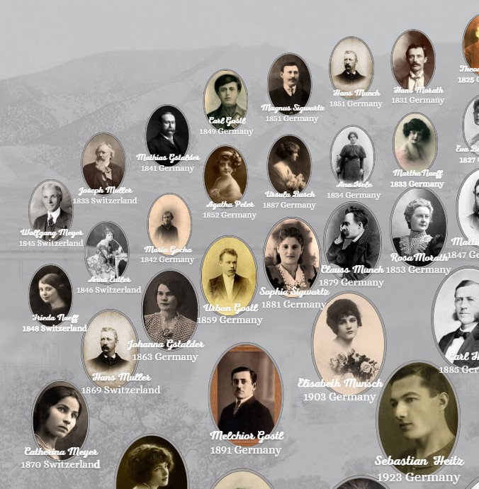 Family Tree DIY Photo Chart 5 Generation Editable Downloadable ...