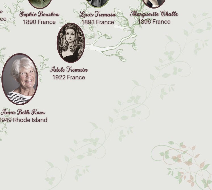 Family Tree Template, Downloadable Family Tree With Photos DIY Family ...