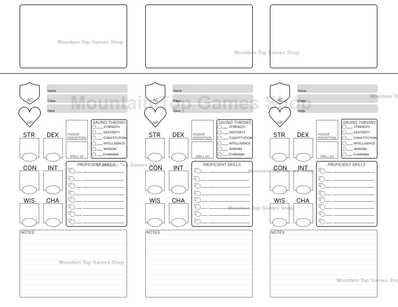 Dnd 5e DM Player Info Note / Initiative Tracker for DM Screens - Etsy