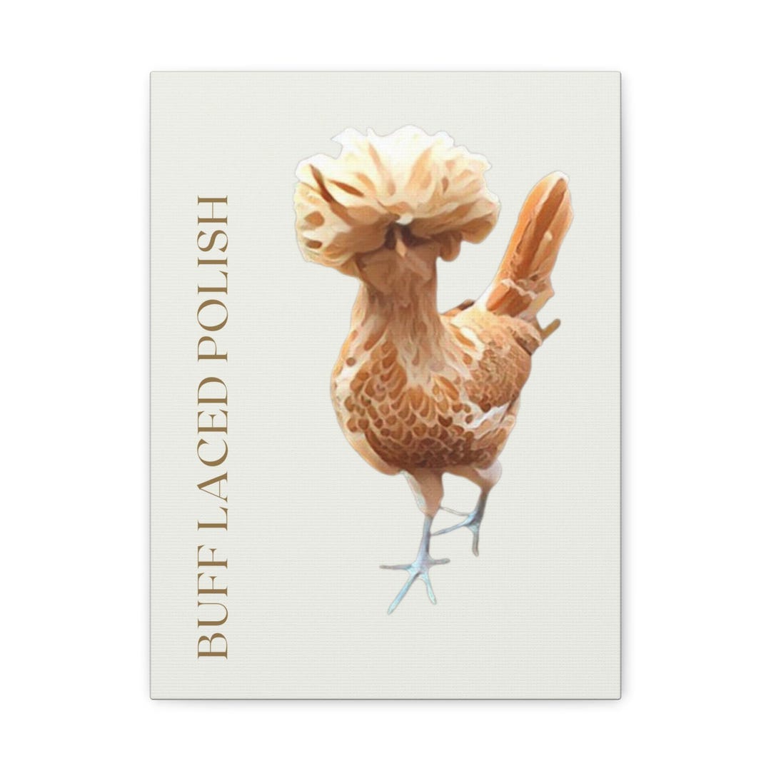 Buff Laced Polish Hen Canvas Print, Farmhouse Kitchen Wall Art - Etsy