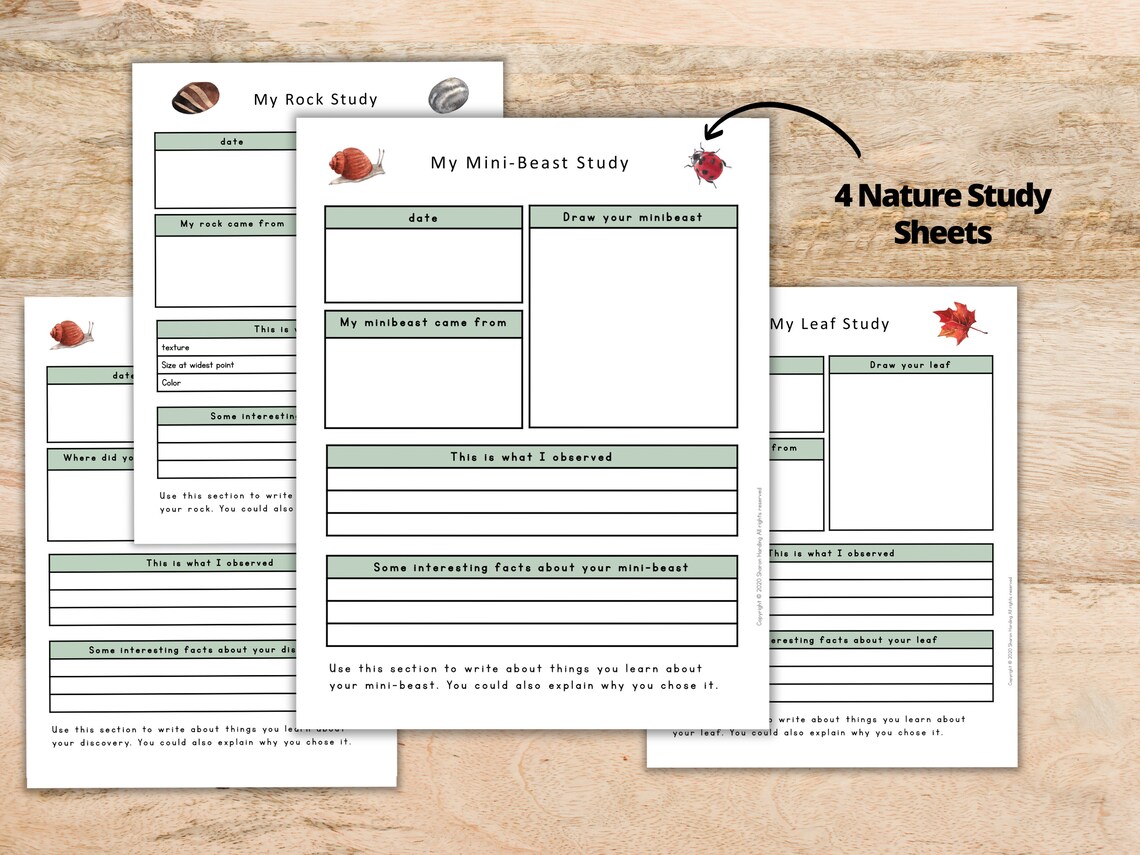 Printable Nature Journal for Kids, Nature Study Journal, Homeschool ...