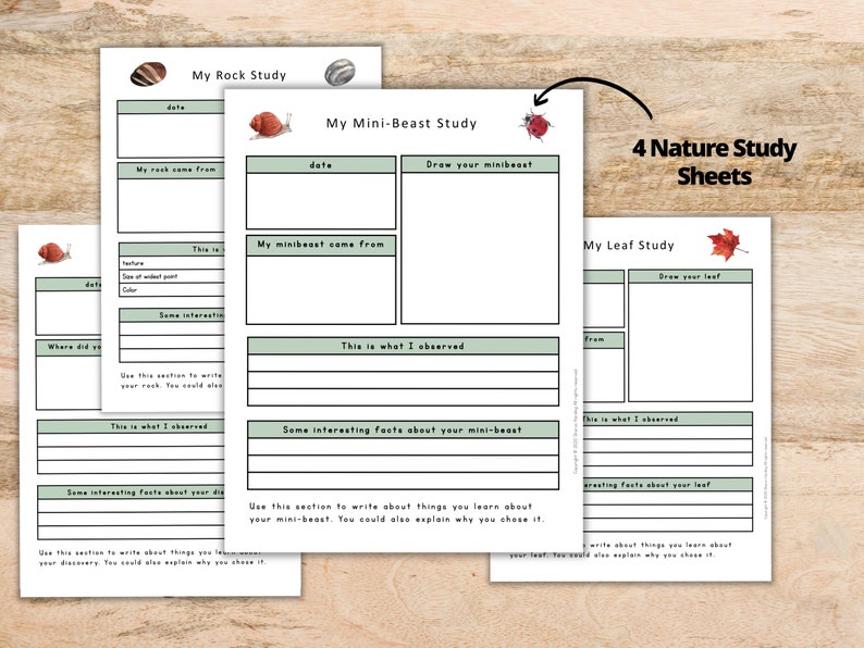 Printable Nature Journal for Kids, Nature Study Journal, Homeschool ...