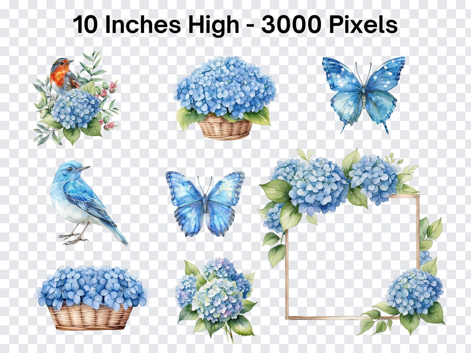 Watercolor Blue Hydrangea Clipart, Blue Hydrangea Clipart, Hydrangea ...