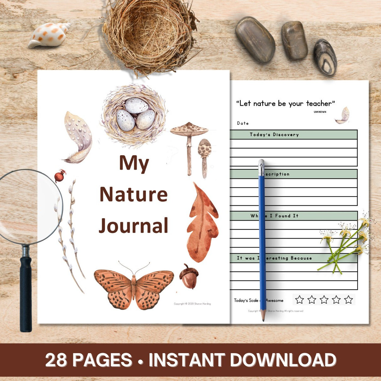 Printable Nature Journal for Kids, Nature Study Journal, Homeschool ...