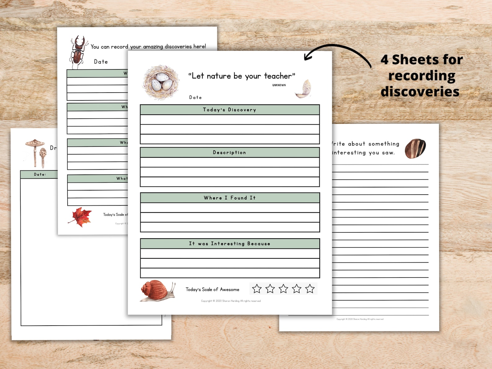 Printable Nature Journal for Kids, Nature Study Journal, Homeschool ...