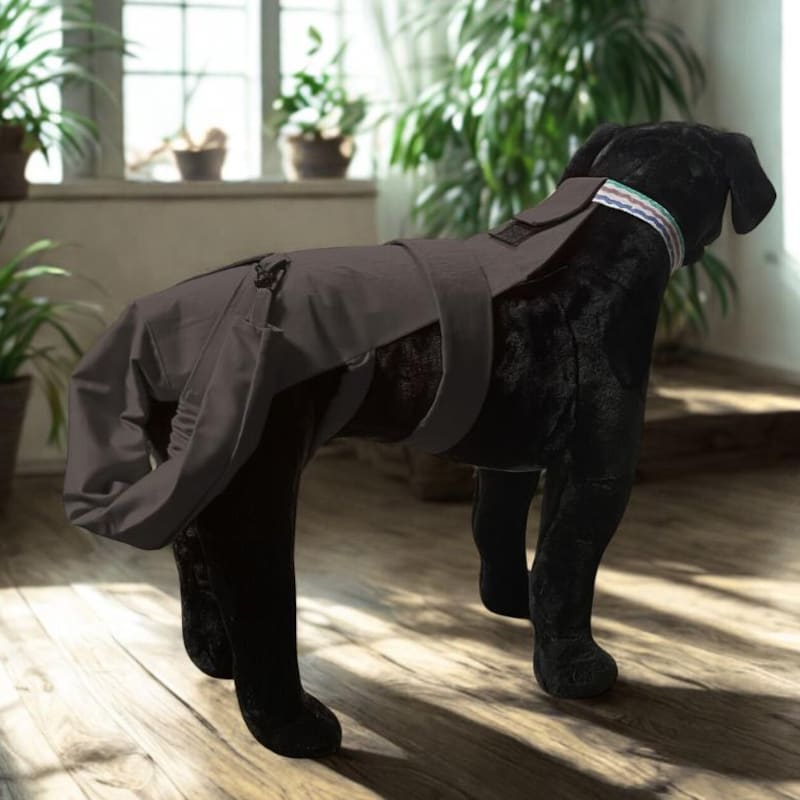 Red Tail Harness - Etsy