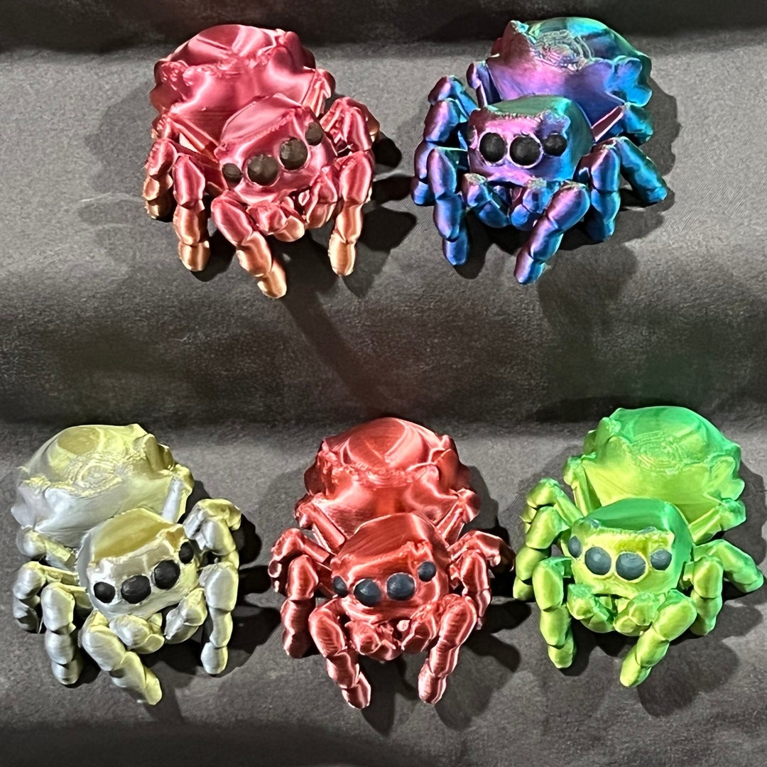 Jumping Spider Guardian - Etsy