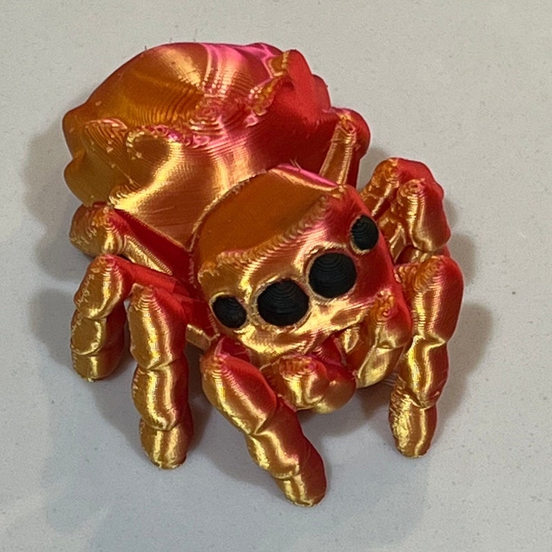 Jumping Spider Guardian - Etsy