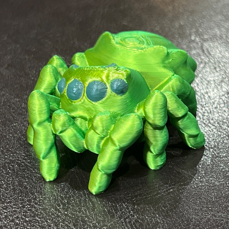 Jumping Spider Guardian - Etsy