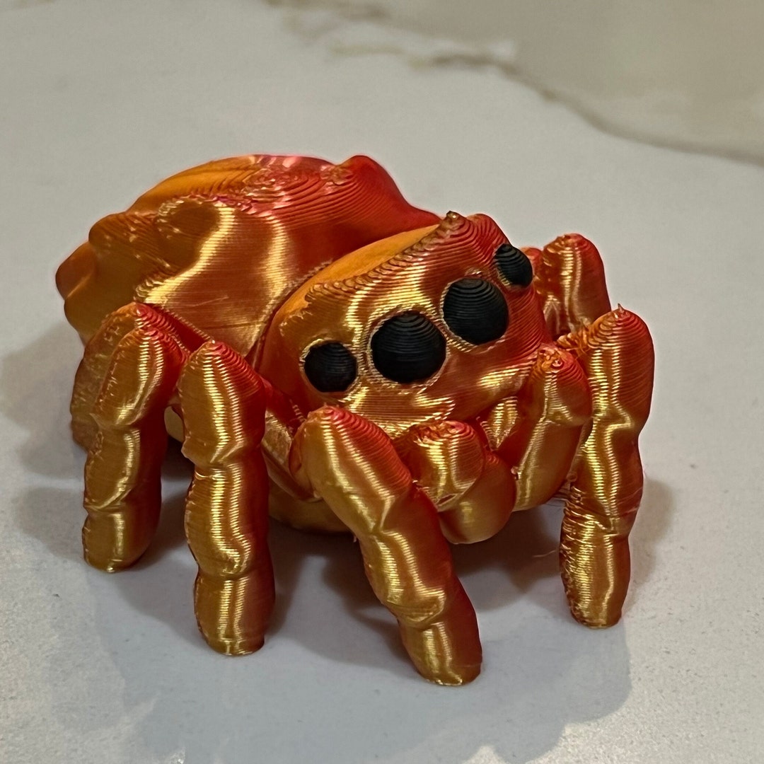 Jumping Spider Guardian - Etsy