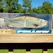 9" Skip Jack Swimbait - Etsy