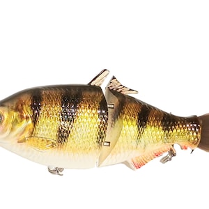 6" Perch Swimbait - Etsy