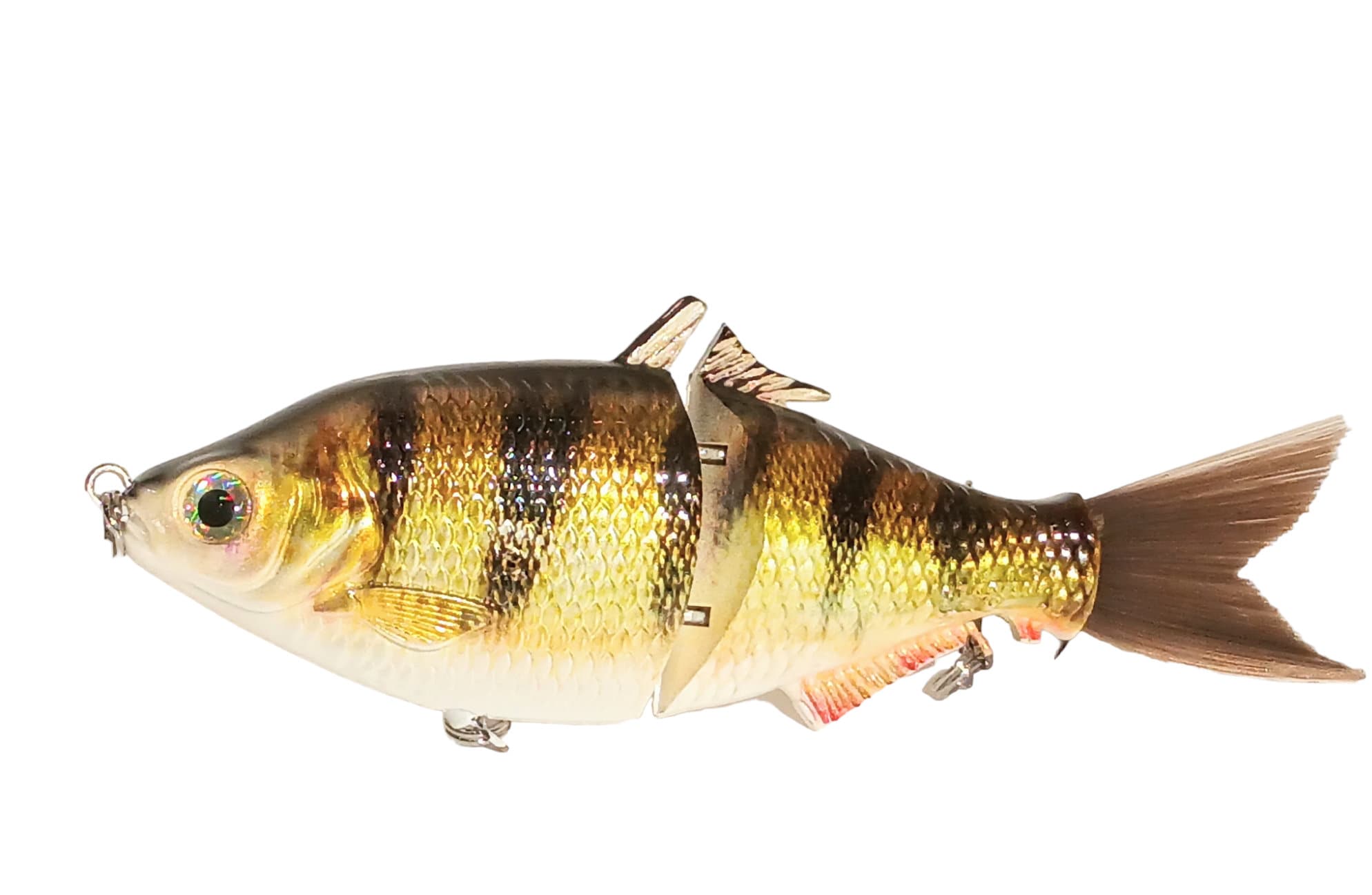 6" Perch Swimbait - Etsy