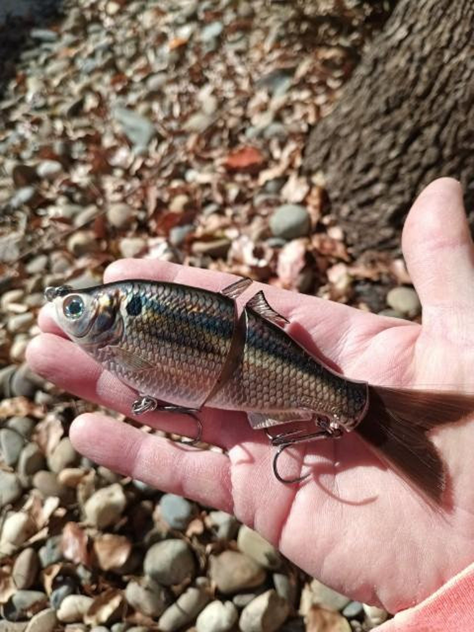 6" Thread Fin Shad Swimbait - Etsy