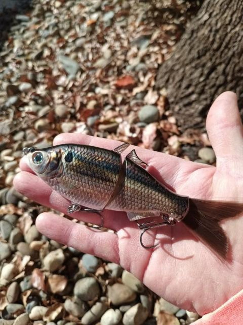 6" Thread Fin Shad Swimbait - Etsy