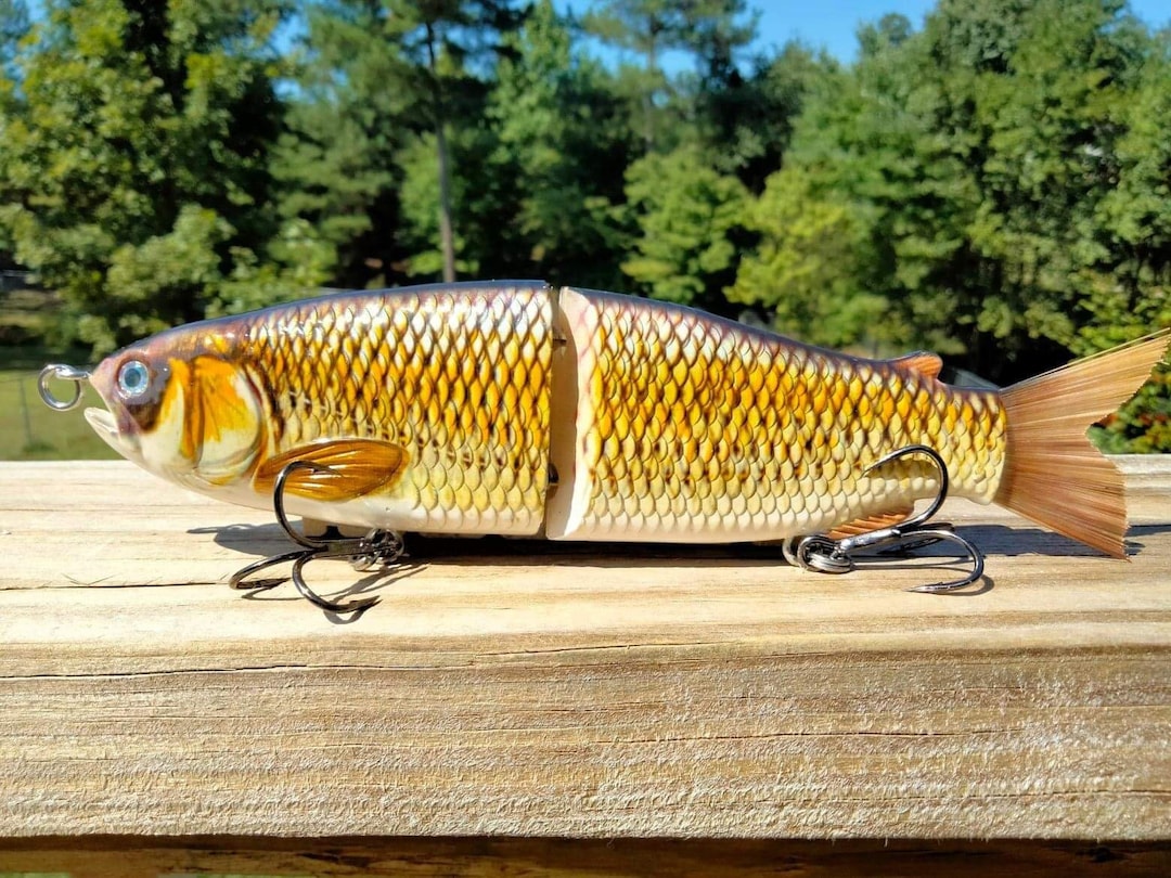 9" Golden Shiner Swimbait - Etsy