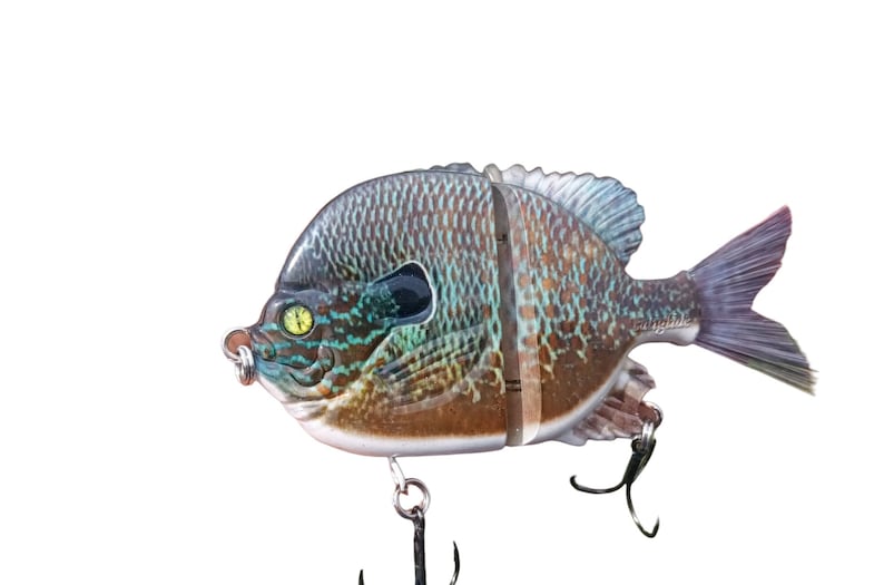 5" Twitch Twitch Boom Baby Sunfish - Etsy