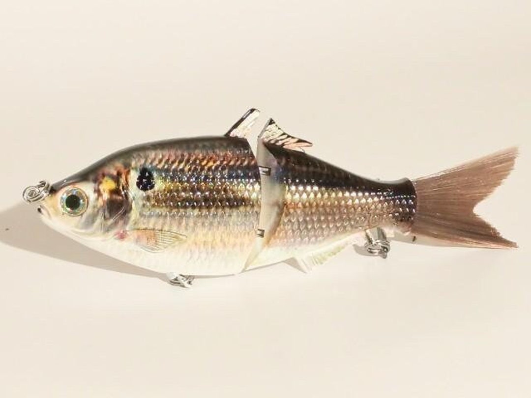 6" Thread Fin Shad Swimbait - Etsy