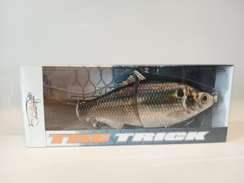 6" Thread Fin Shad Swimbait - Etsy